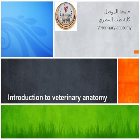 AN INTRODUCTION TO VETERINARY ANATOMY PPT | PPTX