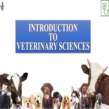 Introduction to Veterinary Sciences | PPTX