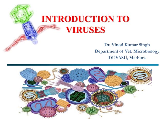 Introduction To Viruses Pptx Infectious Diseases Diseases And