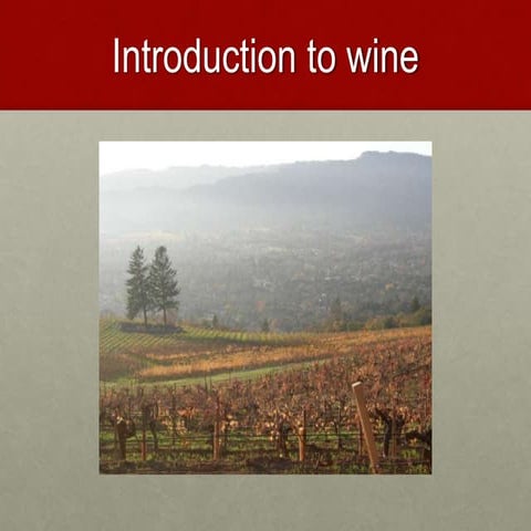 Introduction to wine | PPTX