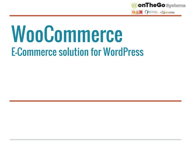 Introduction To Woocommerce Pdf