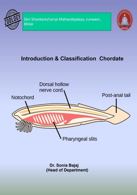 Introduction to chordates for msc zoology | PPT