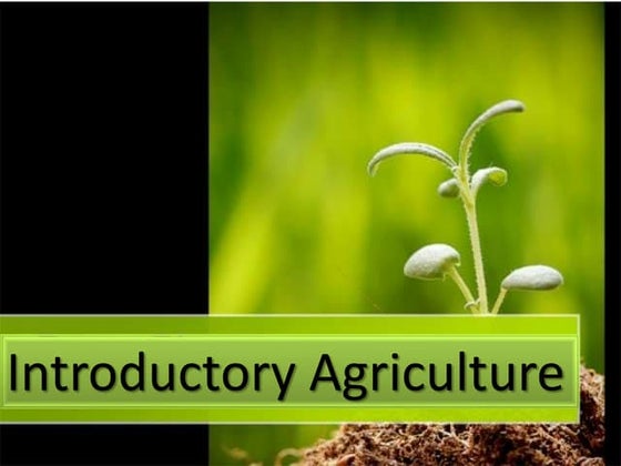 The Four Main Branches of Agriculture.pptx | Agriculture | Industries