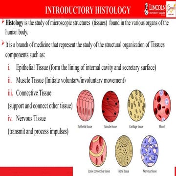 introductory histology.pptx