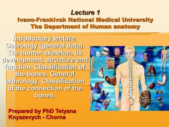 The father of anatomy and a great anatomist Herophilus | PDF