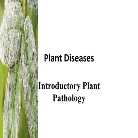 Introductory plant pathology | PPTX | Gardening | Home & Garden
