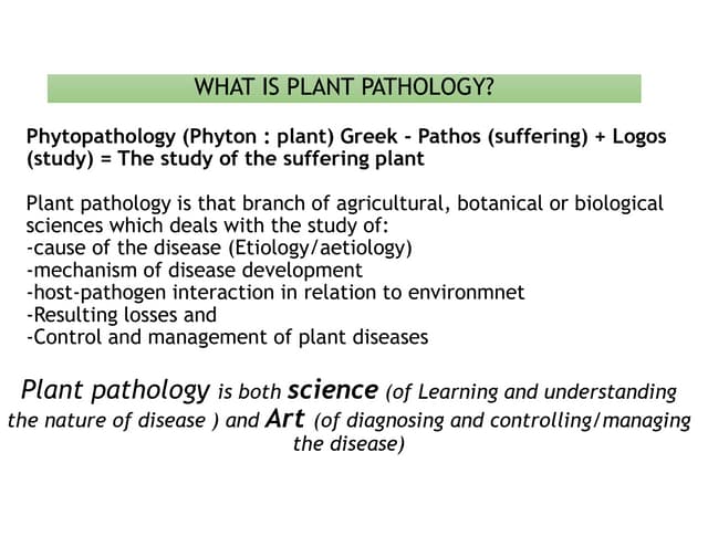Importance of plant diseases | PPTX