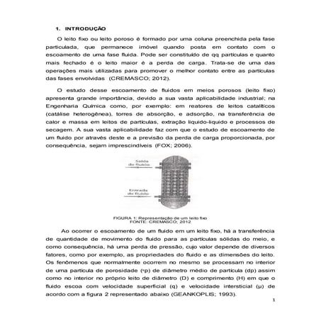 pratica sobre LEITO FIXO meios porosos | PDF