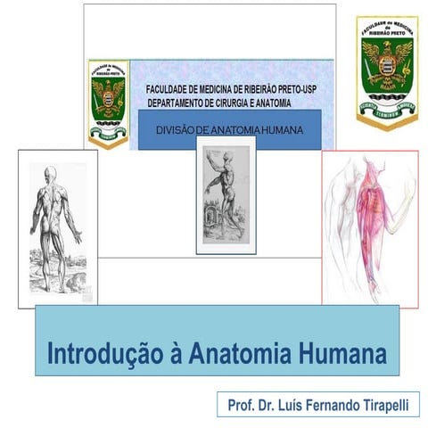 INTRODUÇÃO À ANATOMIA 2019 GRAVAÇÃO kkkkkkkk.ppt
