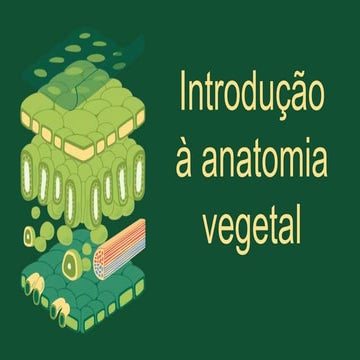 Introdução à Anatomia Vegetal- Origem e Características | PPTX