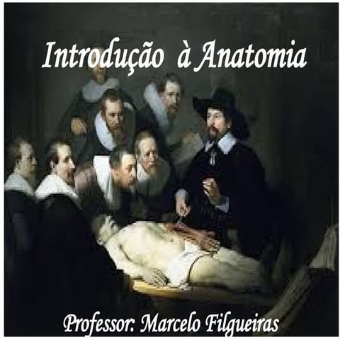 Comprehensive Introduction to Human Anatomy: History, Terminology, and ...