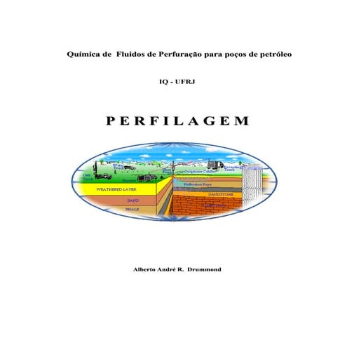 Introdução à perfilagem de poços | PDF