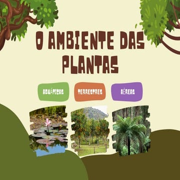 Exemplos De Nomes De Plantas Terrestres ORQUIDEA FLOR MISTERIOSA: