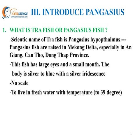 Introdution of pangasius | PDF