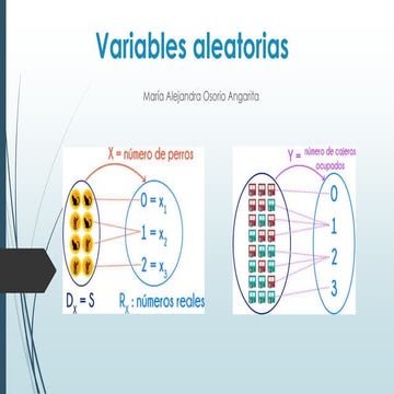 Introdu_variables_aleatorias_marzo31_2025.pdf