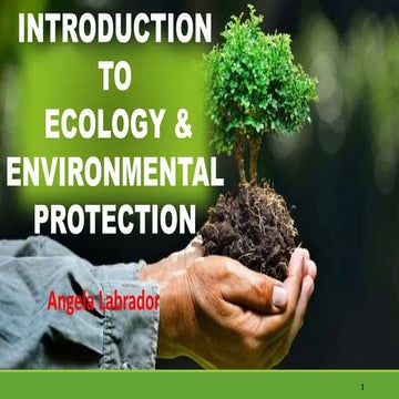 Introduction to ecology and environmental protection | PPTX