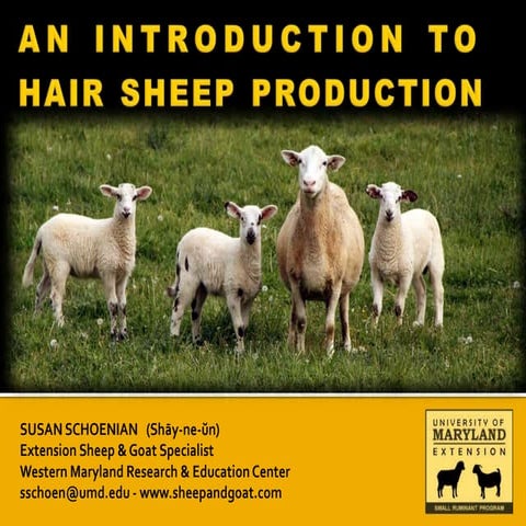 Introduction to Hair Sheep Production | PPTX