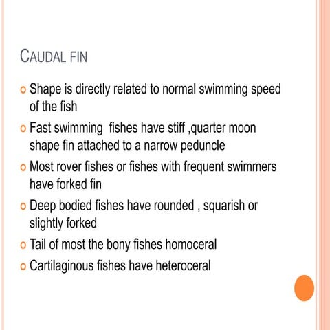 Eggs and larvae identification biology in fin fish | PPTX