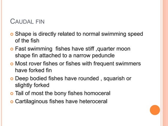 Fish morphology - fish fins | PPTX | Fish and Aquariums | Pets