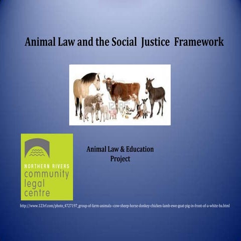 Introduction: Animal Law Presentation | PPTX