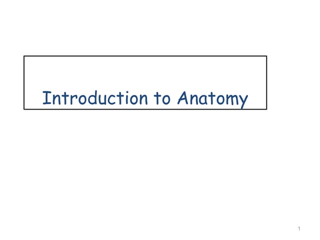 Basic anatomical terminology | PPT