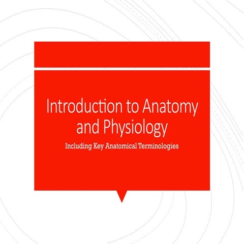 Intro_to_Anatomy_and_Physiology_With_Homeostasis.pptx