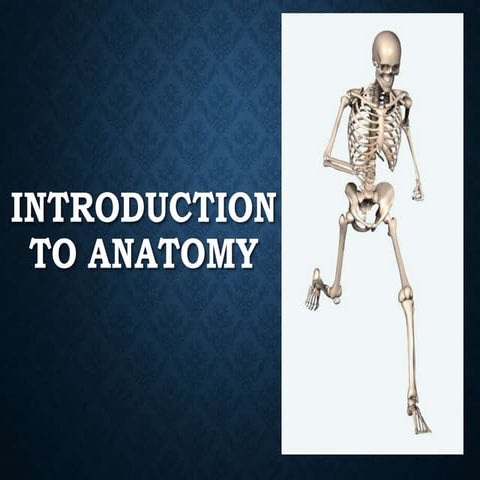 Introduction to Anatomy | PPT