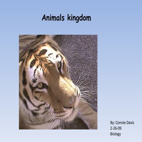 Intro To Animals | PPT