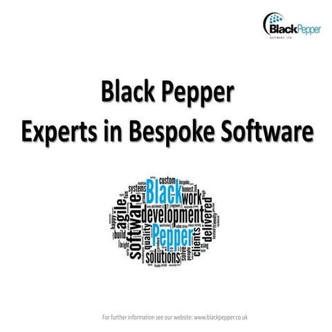 Intro to black pepper software presentation without screen shots mar ...