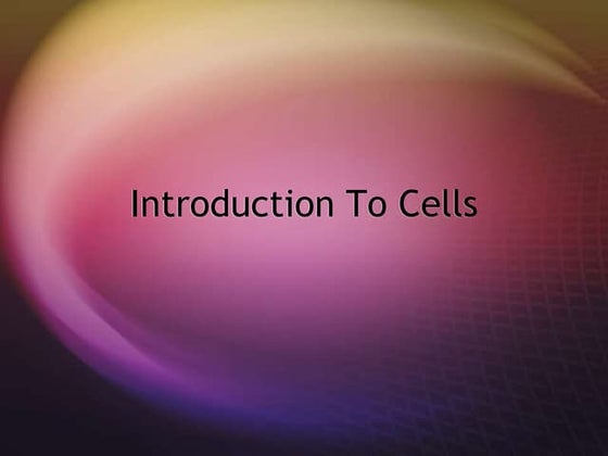 Prokaryotes | PPT
