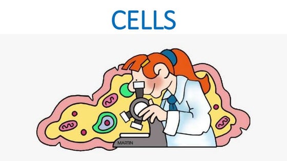 Cell Analogy Example | PPTX