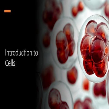 Introduction to cellular processes and structures | PPTX