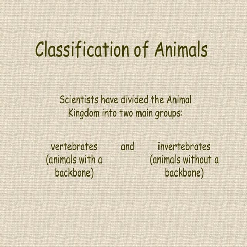 Intro to classification | PPT