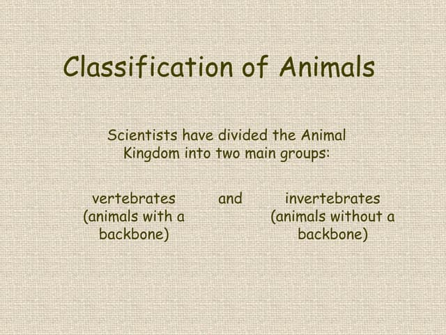 Animals classification | PPTX