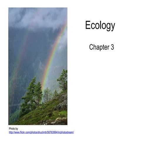 Intro to ecosystems - Adapted from The Biology Corner, Intro to Ecology ...