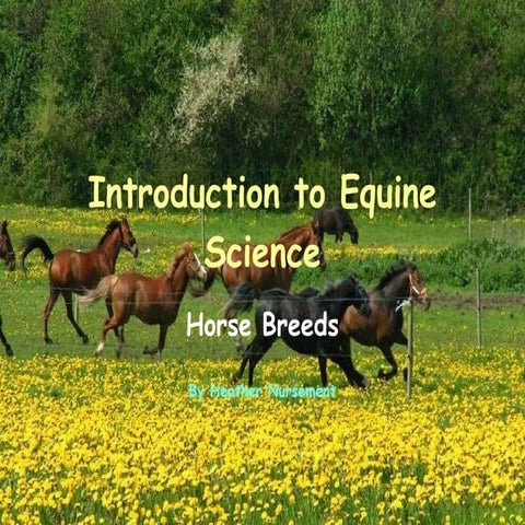 Intro to equine | PPS