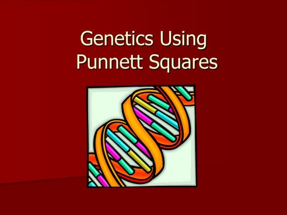 Genetics 9 Science 9 Grade 9 Curriculumpptx Genetics Science 1080