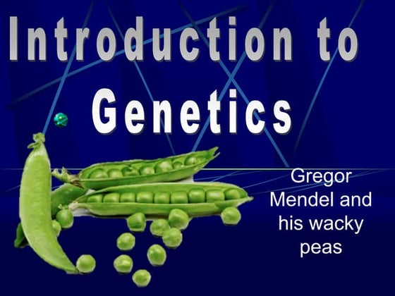 Genetics - Mendelian2.ppt