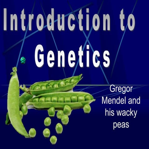 Intro to Genetics.ppt
