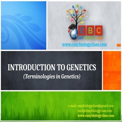 INTRODUCTION TO GENETICS FIRST LESSON IN MIDTERM.pptx