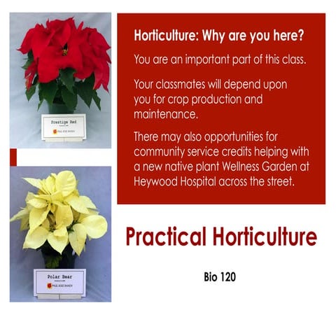 Intro to horticulturecareers | PPT