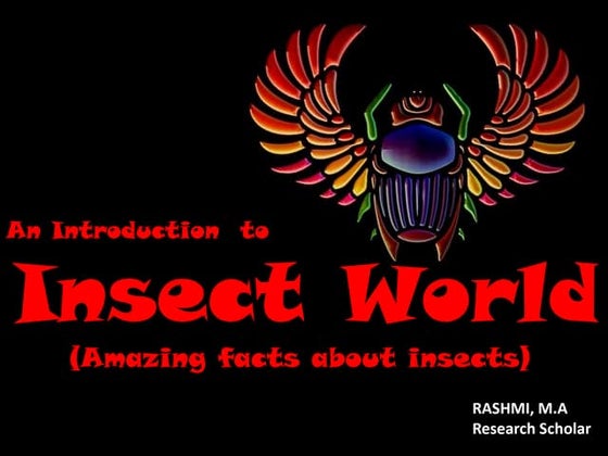 Insects powerpoint | PPTX | Beekeeping | Hobbies & Interests