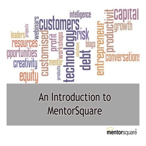 An Introduction To MentorSquare Advisors | PDF