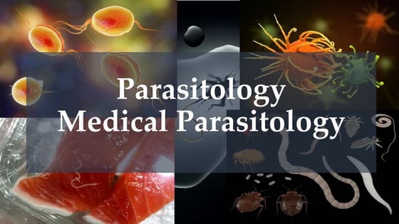 Parasitology | PPT