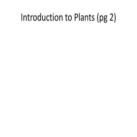 Intro to plants | PPT