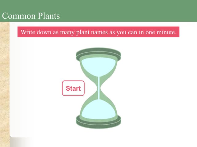 Q2-Week3- Aquatic and Terrestrial Plants.pptx | Gardening | Home & Garden