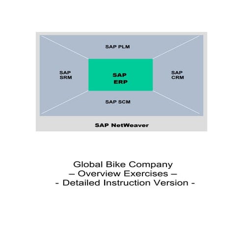 Intro_to_SAP_GBI_exercises_and_solutions.doc