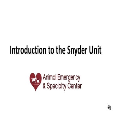 Introduction to the Snyder Unit | PPTX