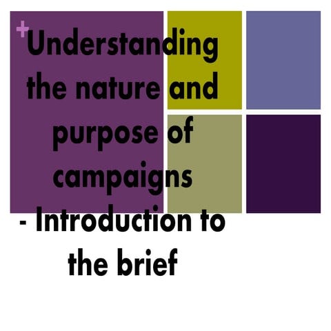 Intro to the brief year 11 2014 | PPT