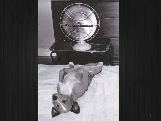 DAIKIN VRV PIPE SELECTION CHART | PDF